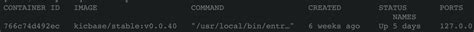 查看docker 容器状态 Api World