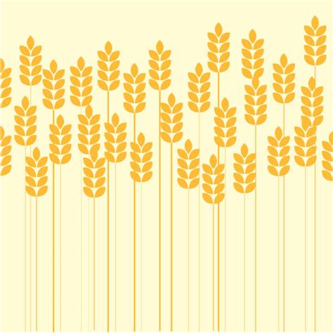26700 Campos De Trigo Ilustraciones De Stock Gráficos Vectoriales