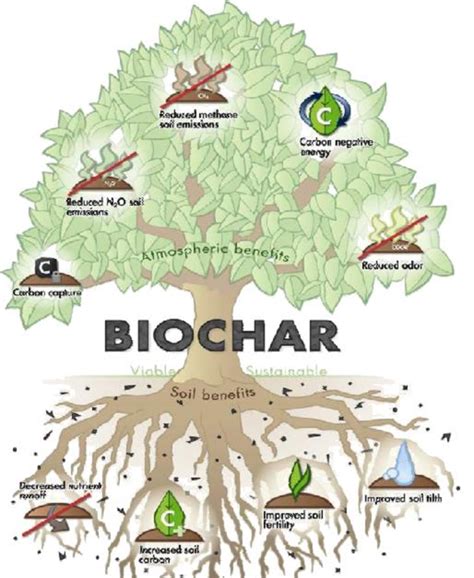 Source Multiple Benefits Of Biochar Adapted From Kavin D Brown