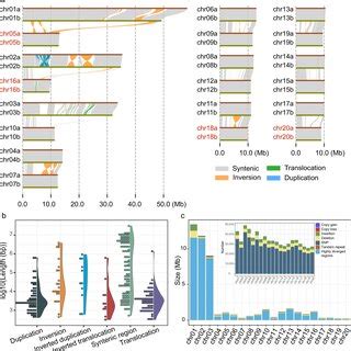 Structural Variation And Statistics Between Two Haplotype Genome