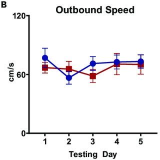 Sex Differences In Contextual Fear From Owl Encounters Download Scientific Diagram