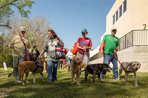 March For Jhs And The Homeless Animals Of Jacksonville Jacksonville