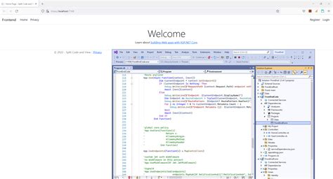 Viacheslav Eremin Split Code And View To Different Projects With ASP NET Core