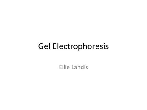 Gel Electrophoresis Docx