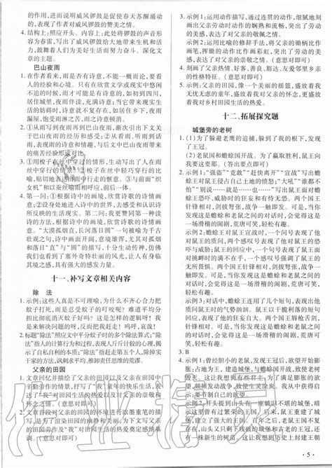 2020年老A现代文阅读七年级语文答案青夏教育精英家教网