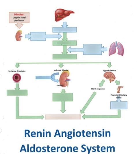 Lqb281 Practice Mcq Diagram Quizlet