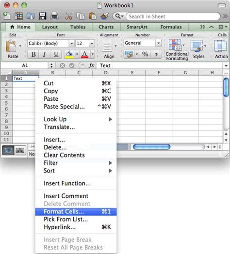 Strikethrough In Excel 200320072010201120132016