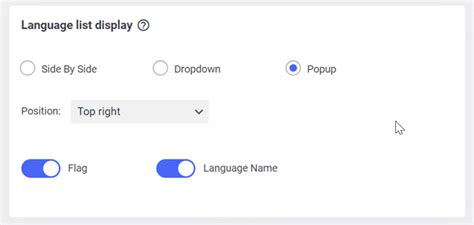 How To Translate Automatically A Website In English Language