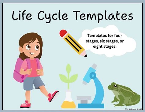 Life Cycle Graphic Organizer Science Sequencing Template Tpt