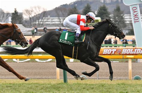 2019年 愛馬の記録 重賞＆記念勝利写真 一般社団法人中山馬主協会