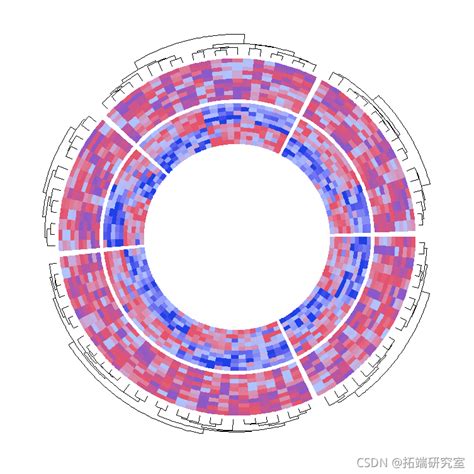 R语言绘制圈图、环形热图可视化基因组实战：展示基因数据比较 拓端