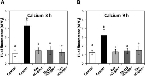 Copper Induced Activation Of Trps And Vdccs Triggers A Calcium
