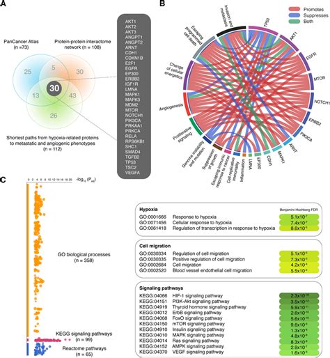 Integration Of Multi Omics Approaches And Functional Enrichment Download Scientific Diagram