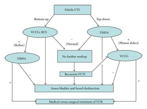 A Schematic Of The Bottom Up Versus Top Down Approach Download Scientific Diagram