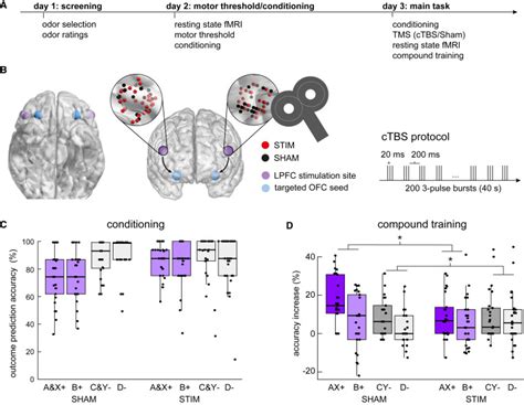 Lateral Orbitofrontal Cortex Integrates Predictive Information Across Multiple Cues To Guide