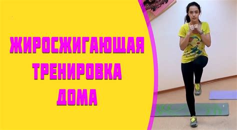 Жиросжигающая тренировка для новичков Упражнения для похудения дома Youtube