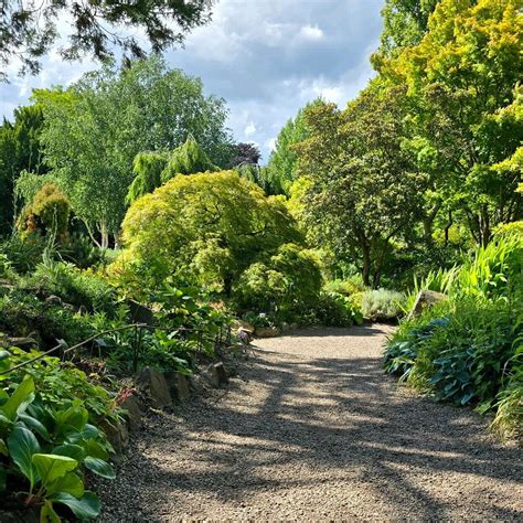 Hamad Yoonus On Linkedin Finalmotivationpost Lastmotivationpost Storytime Birthdaymonth