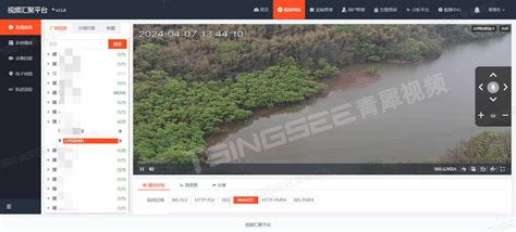 如何在vue3中使用h 265视频easyplayer js流媒体播放器？ vue easyplayer csdn博客