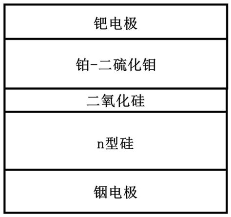 一种铂金属掺杂二硫化钼 硅异质结光电探测器及其制备方法