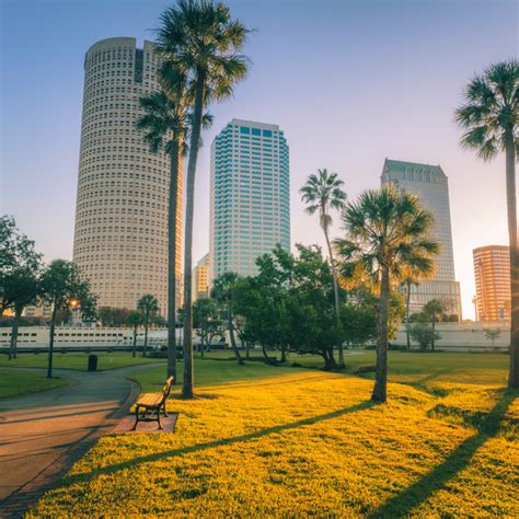 The Best Neighborhoods To Live In Tampa Shes Catching Flights