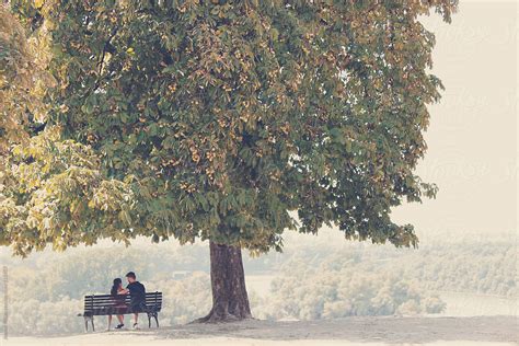 Babe Couple Sitting On Bench Under The Big Tree By Stocksy Contributor Jovana Rikalo Stocksy
