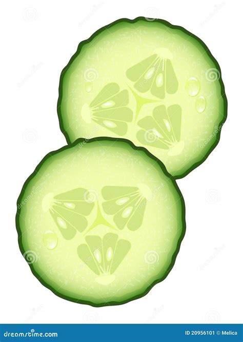 Cucumber Cartoons Illustrations And Vector Stock Images 147599 Pictures To Download From