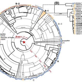 Radial Maximum Clade Credibility Trees Estimated Using A 207 And B