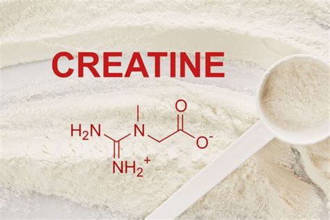 Does Creatine Make Your Weiner Smaller 6 Best Tips To Increase Penis Size