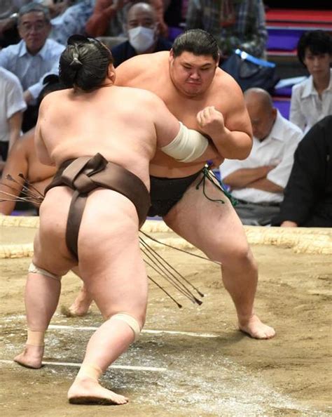 竜電、4連敗から10連勝スポーツデイリースポーツ Online
