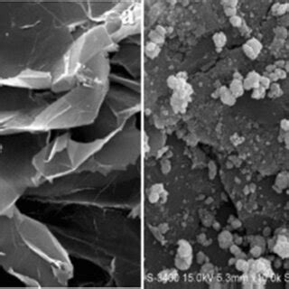 SEM Image Of A GO And B Fe3O4 RGO Download Scientific Diagram