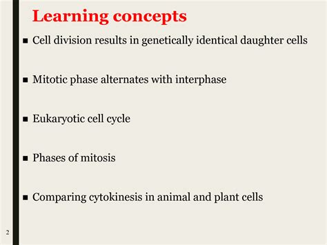 Solution Bio 100 Sut Cell Division Presentation Studypool