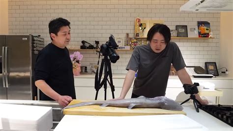 【海鲜小哥金子】花了10万日元买了一条本该拿来科研的鲨鱼和怪鱼大叔一起尝尝【240429】 柚japan 柚japan 哔哩哔哩视频