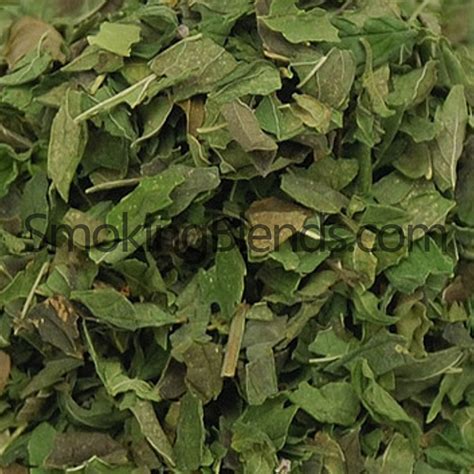 Spearmint Leaf Mentha Spicata Certified Organic