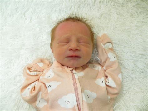 Ophelia Rose Northern Maine Medical Center