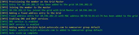 Automatically Scale The Infoblox Grid In Your Vmware Environment