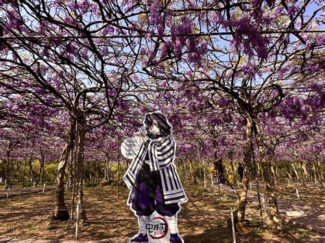 淡水紫藤花園 二號水源園區（原紫藤咖啡園二店） Added A 淡水紫藤花園 二號水源園區（原紫藤咖啡園二店）