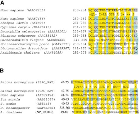 figure 2 from origin of alternative splicing by tandem exon duplication