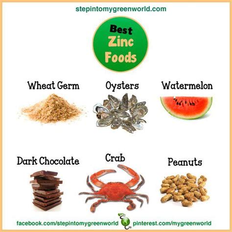 These Foods Are Great Sources Of Zinc Zinc Plays An Important Role In