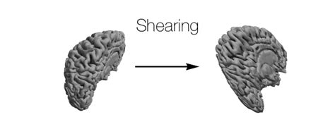 Mri Data Representation And Geometry Noah C Benson Senior Data