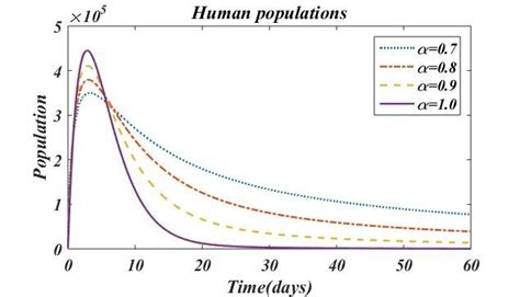 The Solution Of The Fractional Order Model Of An Human Population Using