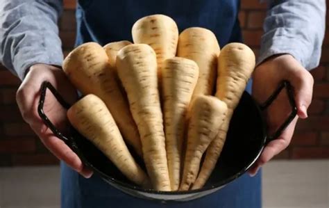 White Carrot Vs Parsnip Understanding The Differences 2025