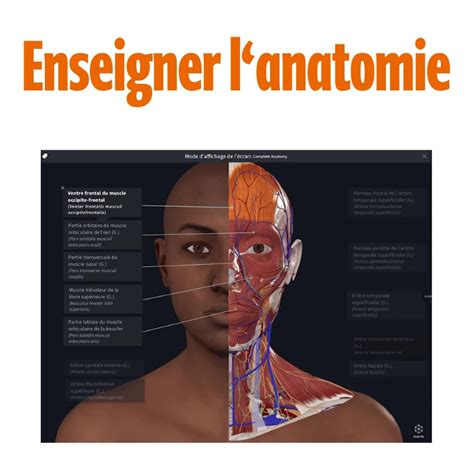 Enseigner Lanatomie Avec La Plateforme Complete Anatomy