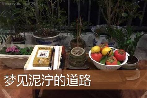 梦到泥泞之路究竟意味着何种征兆 周公解梦官网