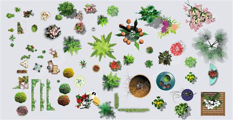 Psd格式的彩色植物平面圖 Ps植物素材 配景素材 園林植物素材圖案，psd和png圖片免費下載