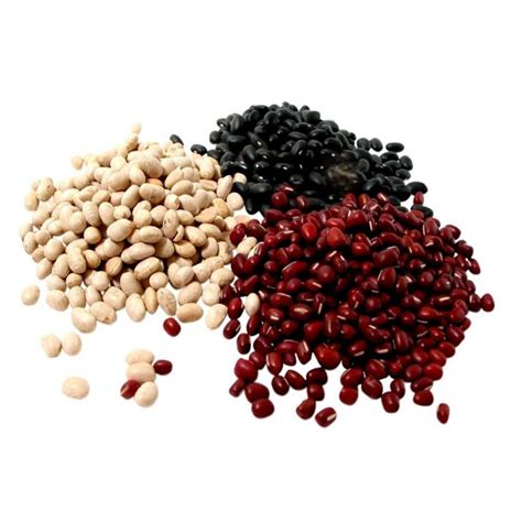 Dry Beans Various Farm Fresh Fruit Produce Inc