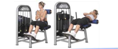 Exam Pt Ch Flashcards Quizlet