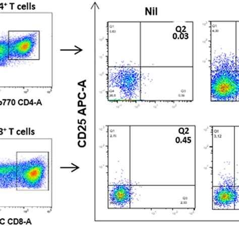 Representative Flow Cytometry Analysis Showing The Gating Strategy For