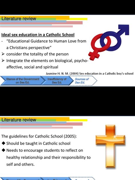 Caes Literature Review Pdf Sex Education Teachers