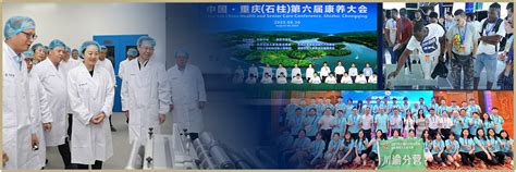 同心映像2022 重庆统一战线故事图集