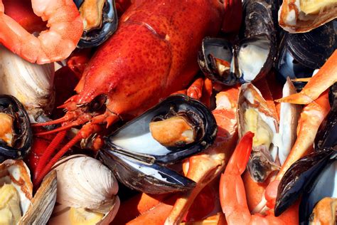 Shellfish Poisoning A Neurotoxic Consequence Of Global Warming Shellfish Poisoning A Neurotoxic Consequence Of Global Warming